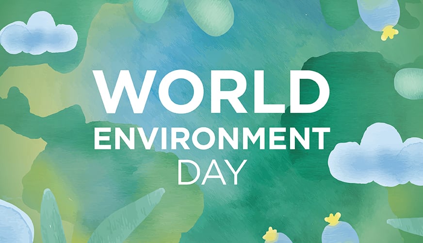 We are celebrating the World Environment Day!